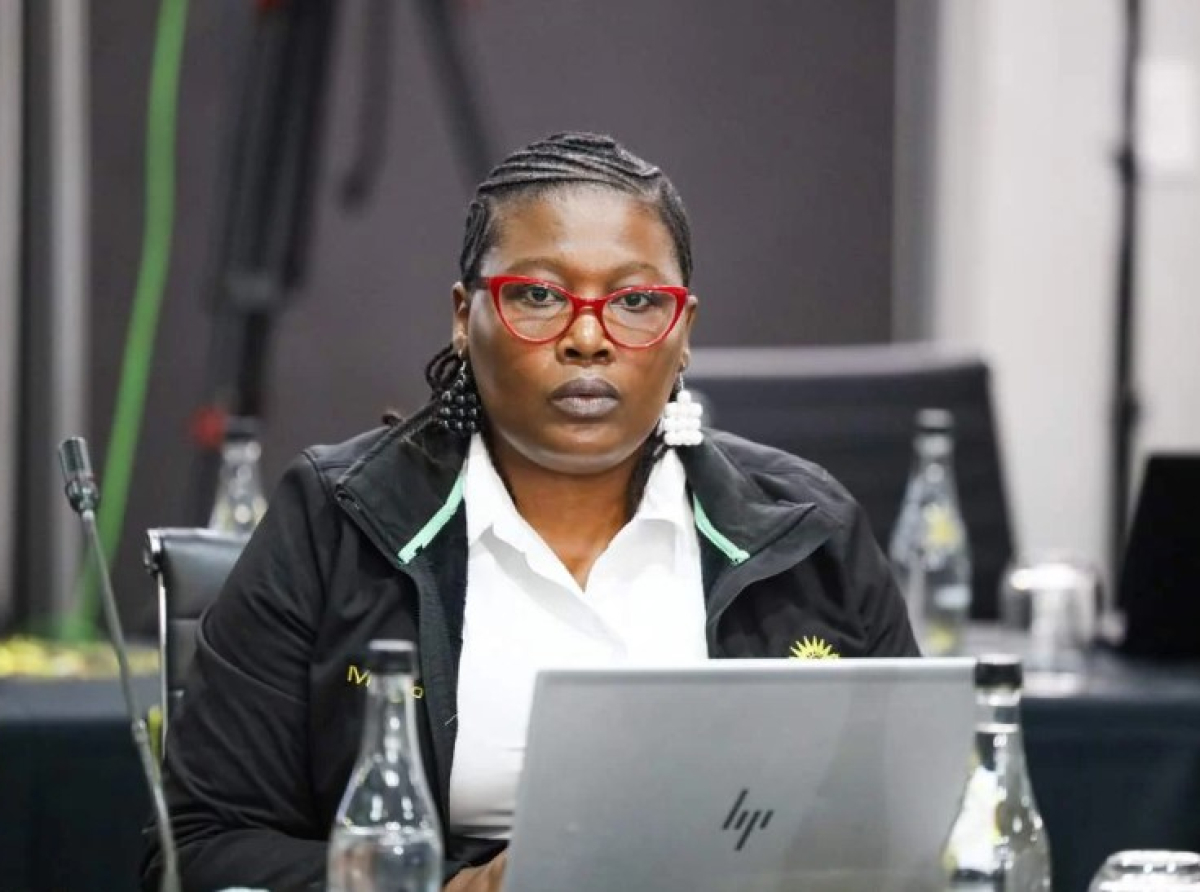 Mbenenge tribunal: Ngoepe deems evidence by third witness prejudicial ...